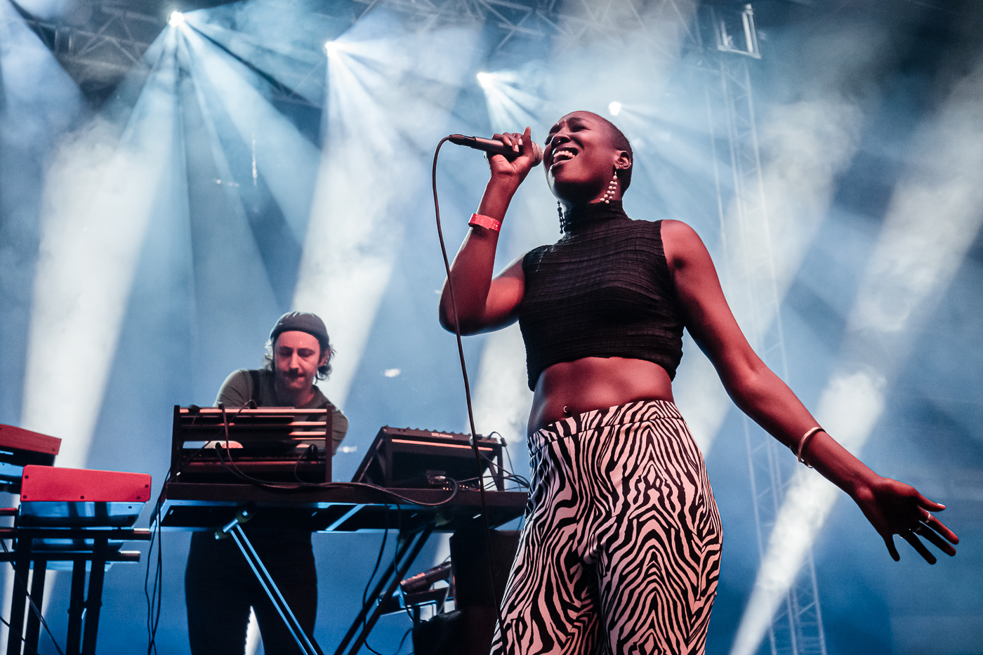 Raison d'être — Arty Farty